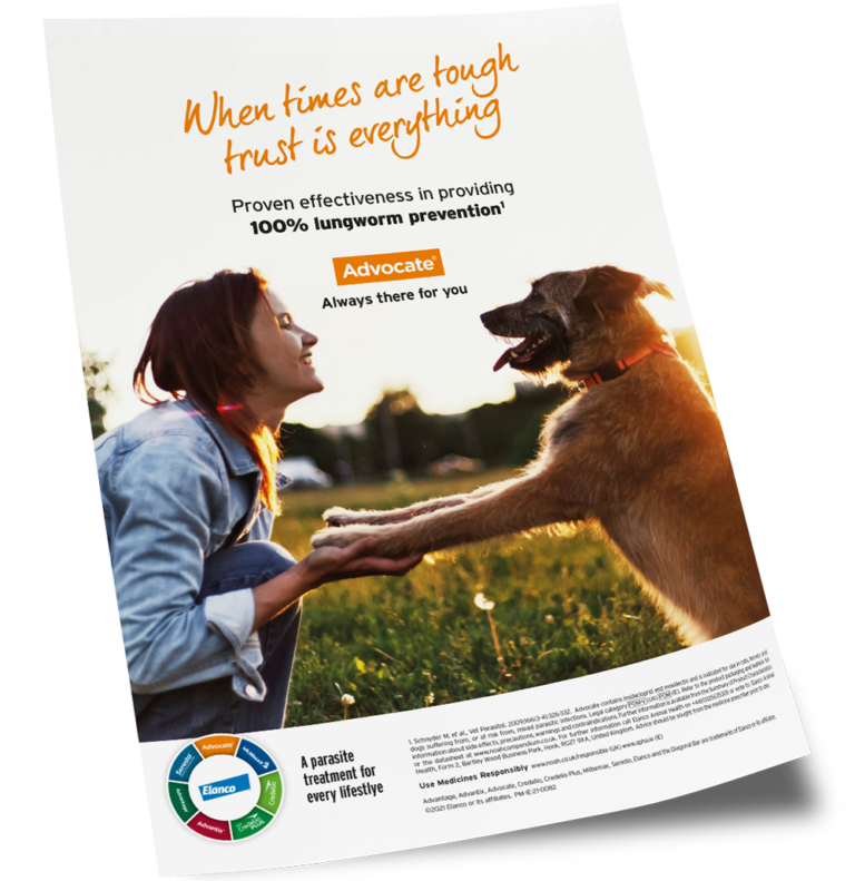 MBC - Marketing, Branding & Creative - Advertising Campaign for Advocate