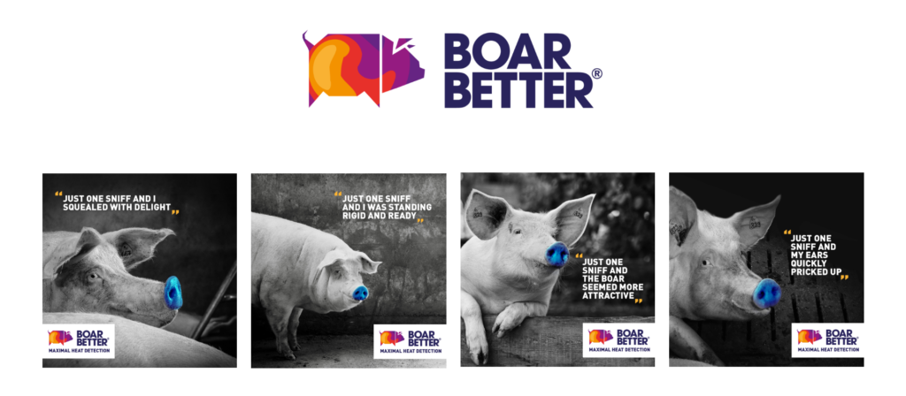 MBC - Marketing, Branding & Creative - International Advertising ...